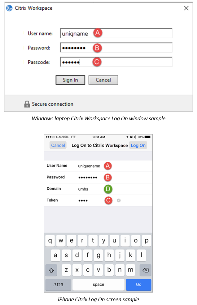 - Remote Access - Accessing Citrix-hosted Applications - Michigan ...