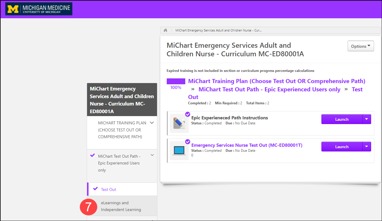 - MiChart Curriculum - Emergency Services Adult and Children's Nurse ...