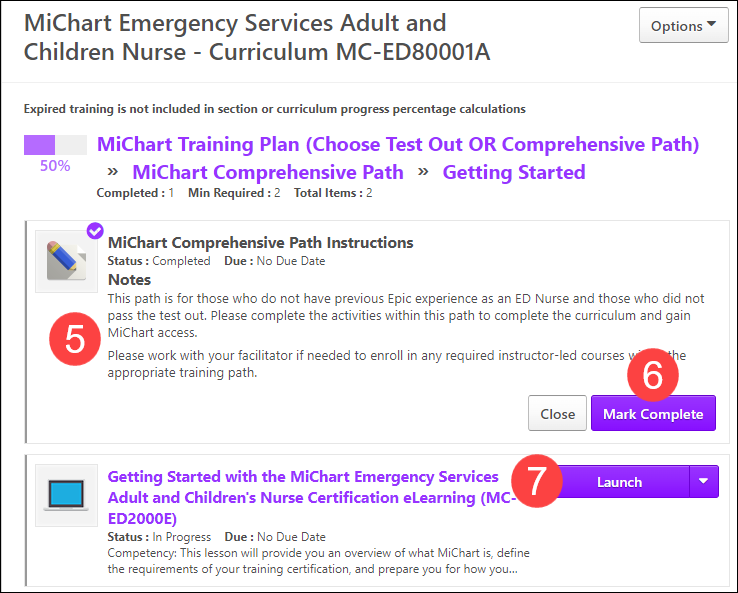 - MiChart Curriculum - Emergency Services Adult and Children's Nurse ...